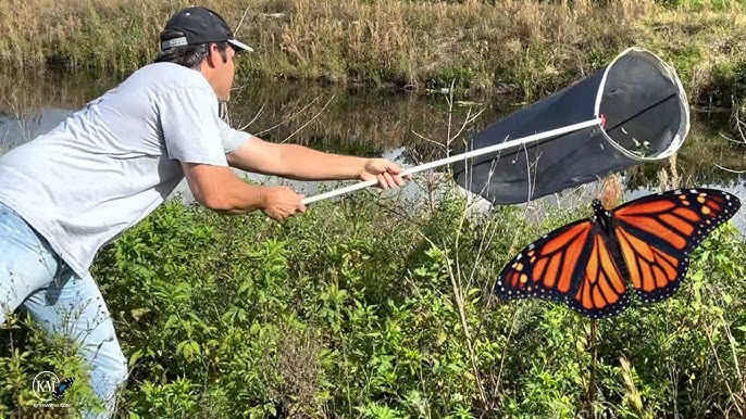 Butterfly Catching Equipment