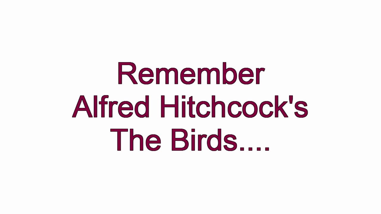 Kaye's Bird Attack. This is: AKA Alfred Hitchcock @CaddyMan - YouTube