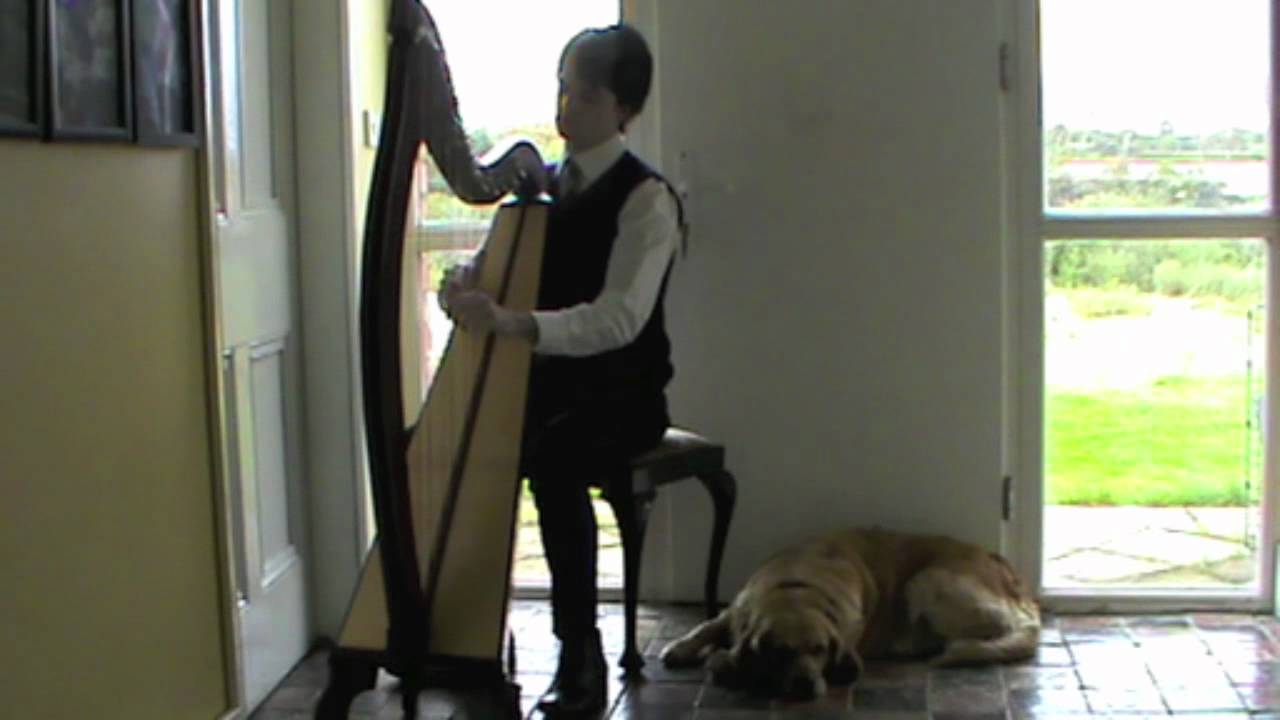 Fiachra - O Carolan's Draught - YouTube