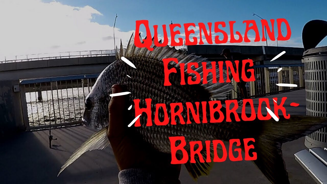 Fishing Redcliffe! - Horni-Brook Bridge - YouTube