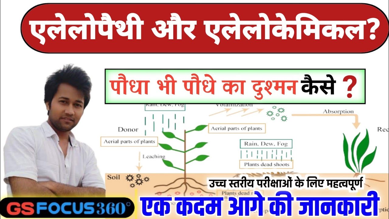 what is Allelopathy and allelochemicals ?functional properties of ...