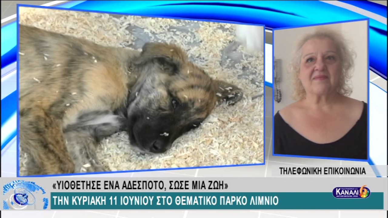 "ΥΙΟΘΕΤΗΣΕ ΕΝΑ ΑΔΕΣΠΟΤΟ, ΣΩΣΕ ΜΙΑ ΖΩΗ" ΤΗΝ ΚΥΡΙΑΚΗ 11 ΙΟΥΝΙΟΥ ΣΤΟ ...