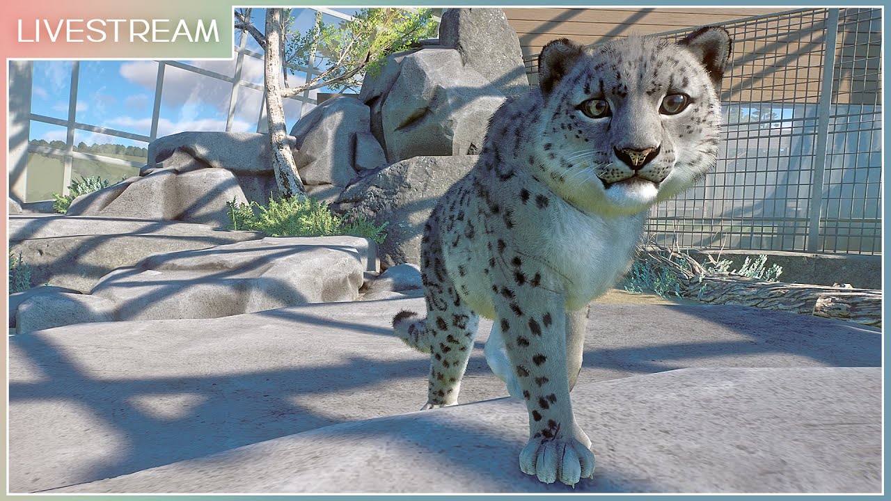 Snow Leopard Habitat | River Rock Zoo | Planet Zoo Livestream - YouTube