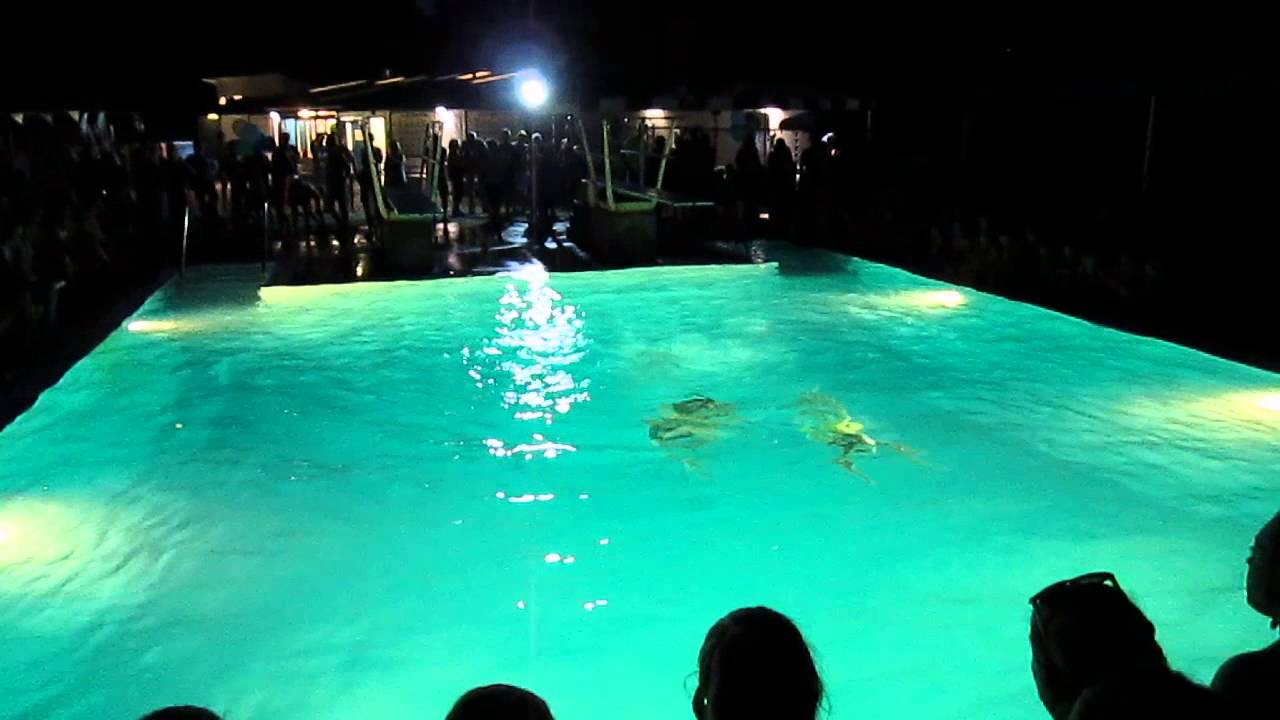 HFSC Water Ballet Show 2014 - YouTube
