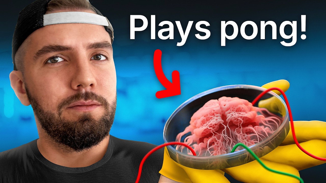 Lab-Grown "Brain" Becomes Conscious? (Organoid Intelligence) - YouTube