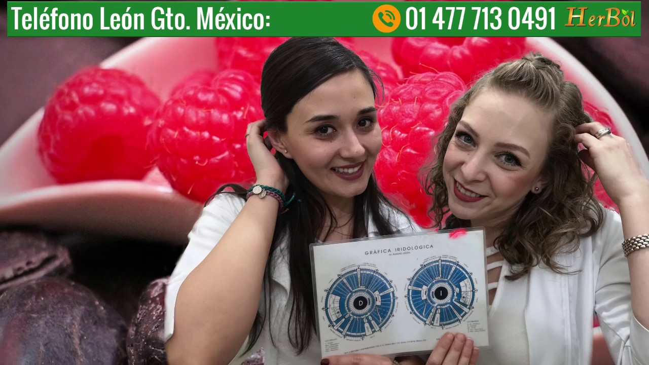 Guereque para la Diabetes ¿Realmente Sirve para Curarla ? │Naturismo ...