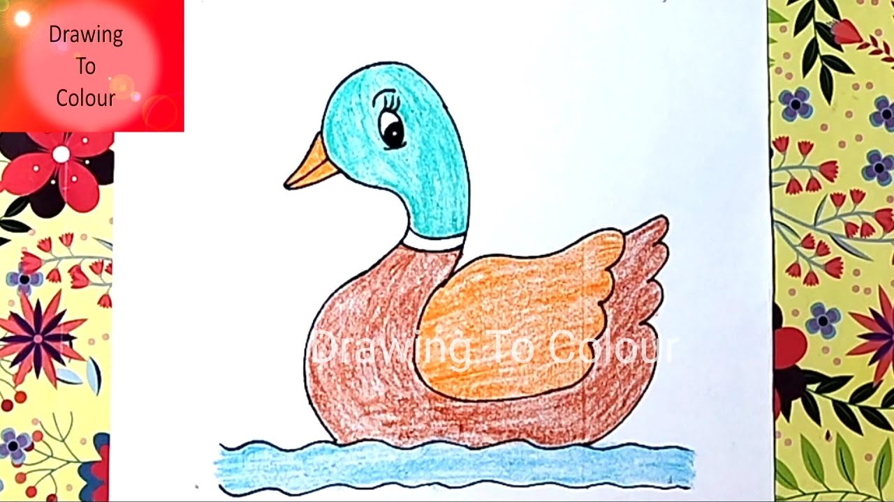 Duck Drawing Easy | How to Draw a Duck Step by Step | Mallard Duck ...