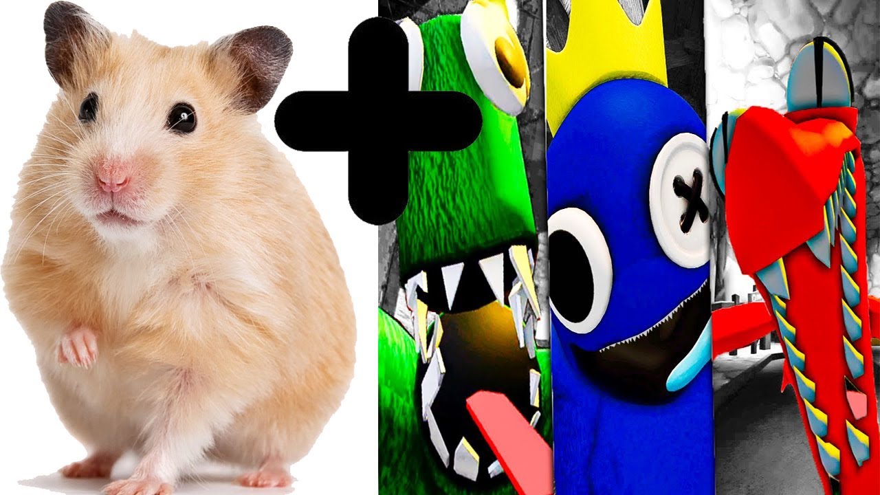 HAMSTER + RAINBOW FRIENDS = ??? - YouTube