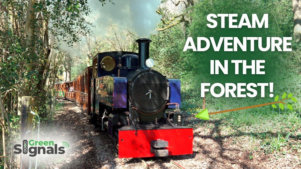 Steam Train Adventure in the Forest of Dean! Perrygrove Railway ...