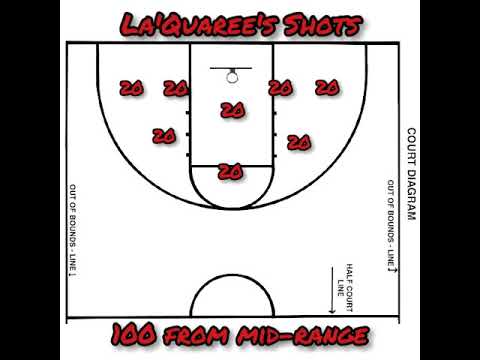 La'Quaree's shot chart for shooting Training (300 Shots)
