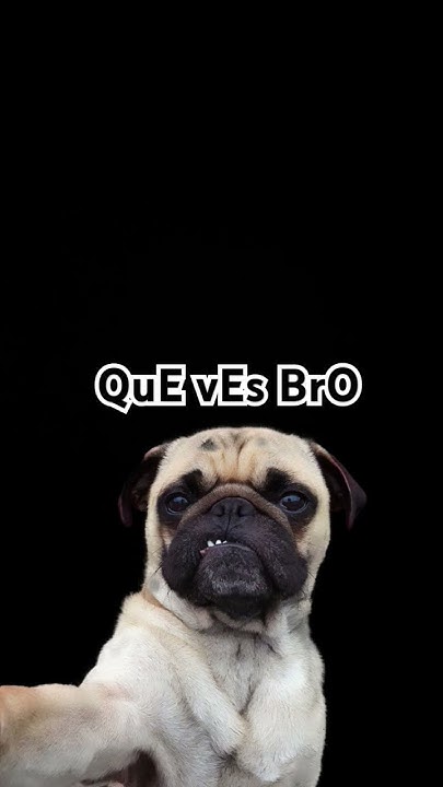 ¡suscribete Youtube