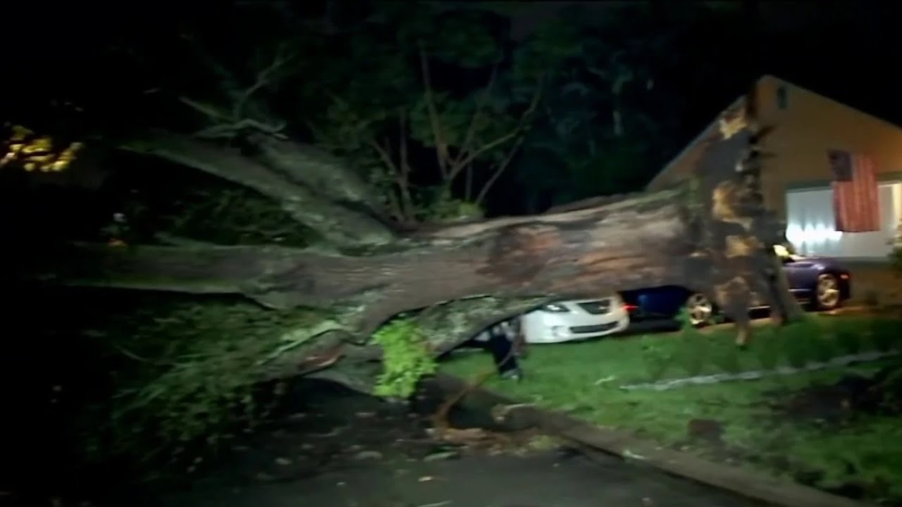 Hurricane Ian Causes Damage in Miami-Dade & Broward - Miami Dolphins news