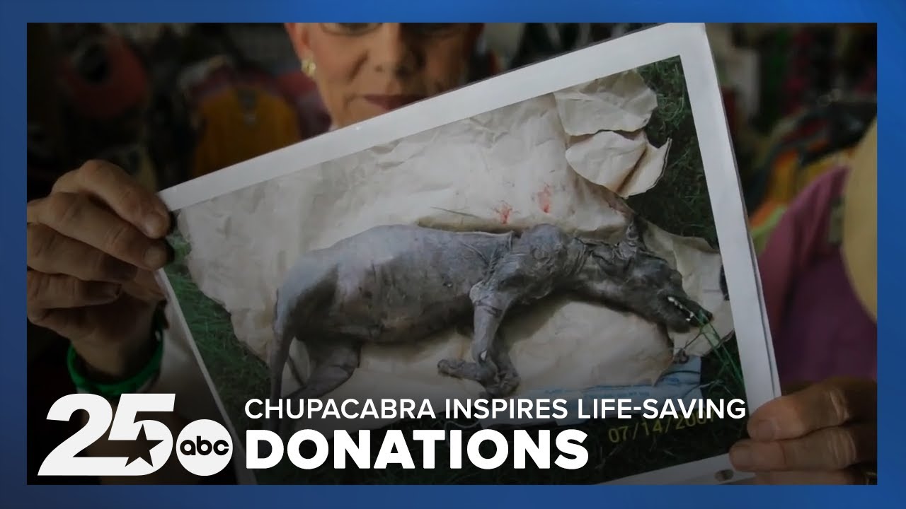 Chupacabra Turns Hero for Blood Donations in Latino Communities - YouTube