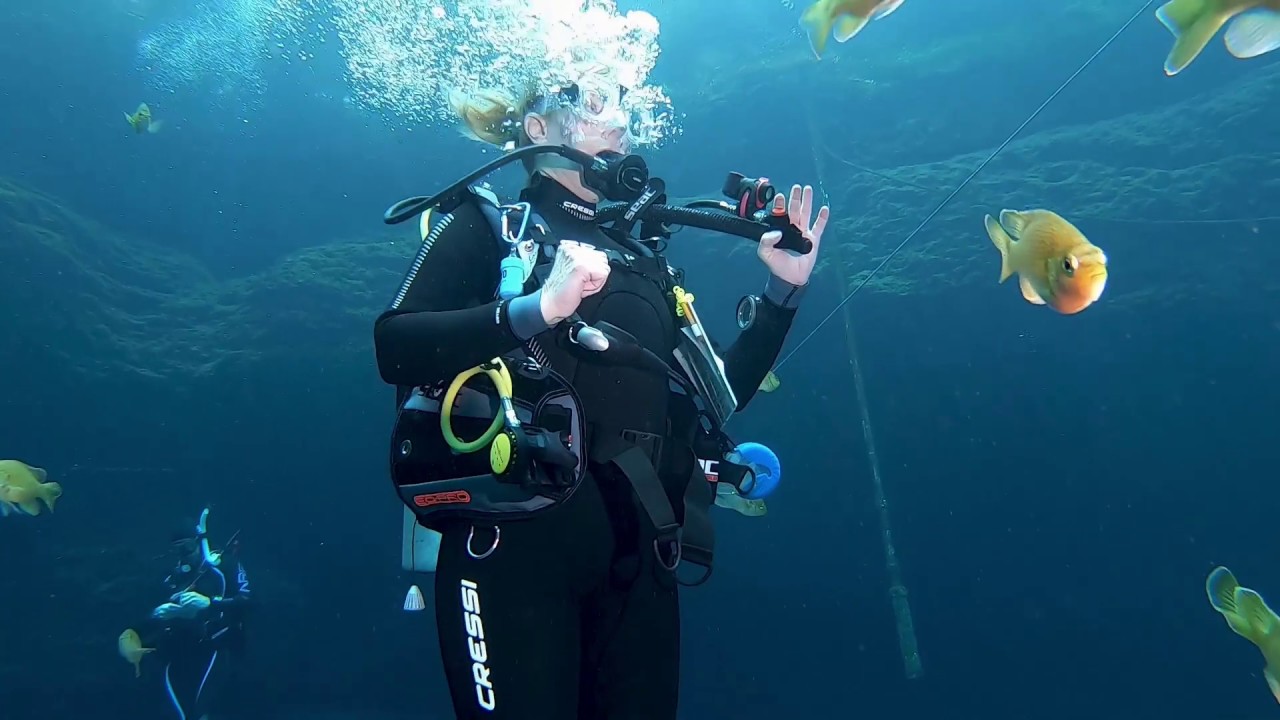 Seac EQ-Pro BC | ScubaLab Best Buy - YouTube