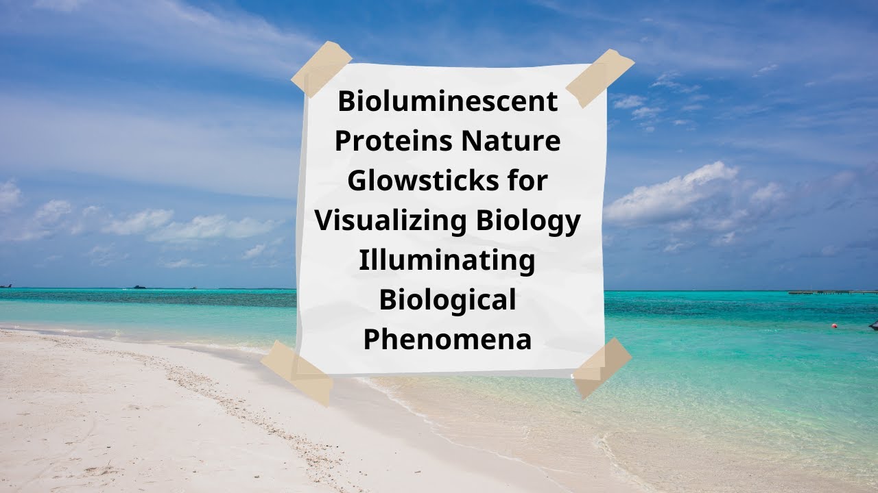 Bioluminescent Proteins Nature Glowsticks for Visualizing Biology ...