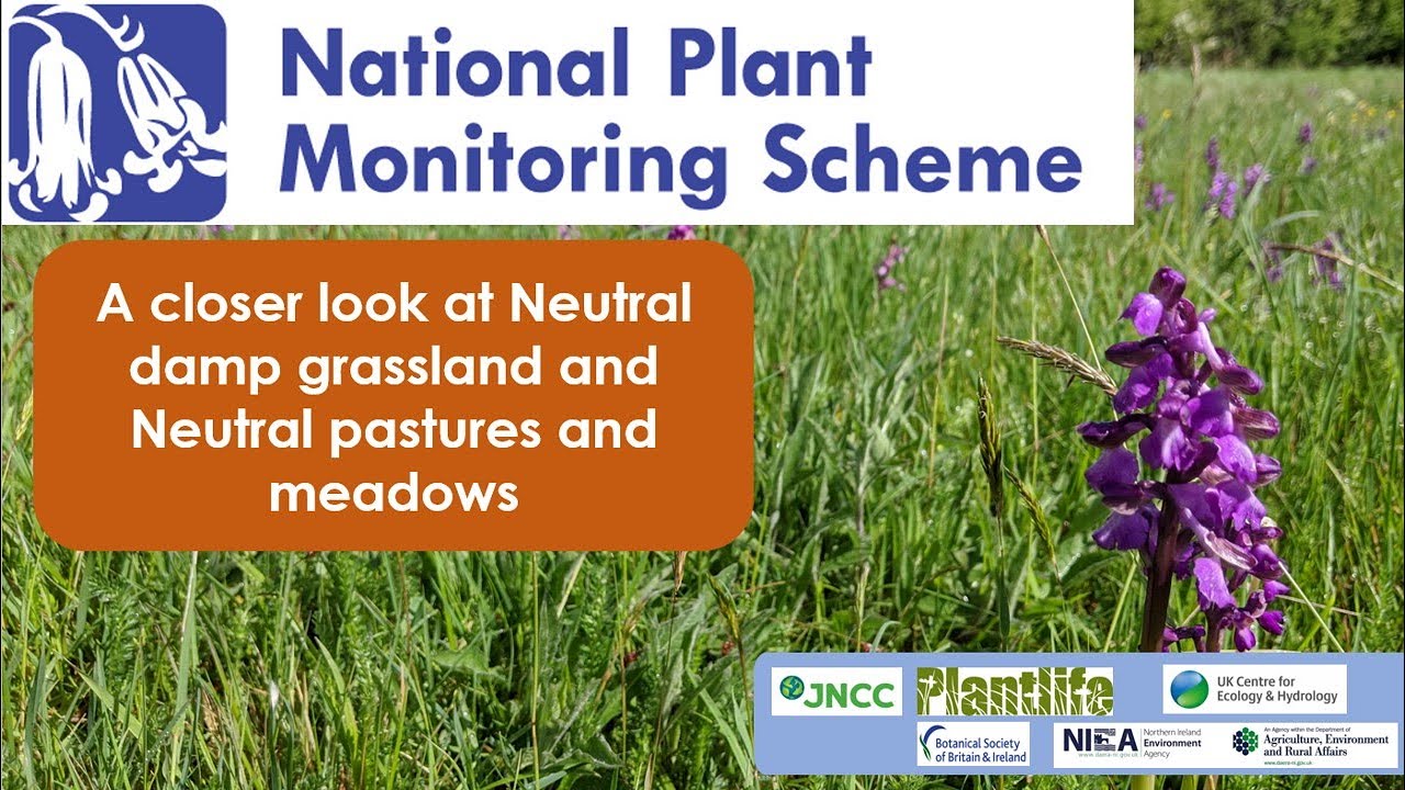A Closer look at Neutral Grasslands - YouTube