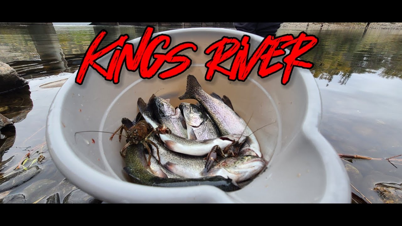 Winter Trout fishing | Kings River - YouTube