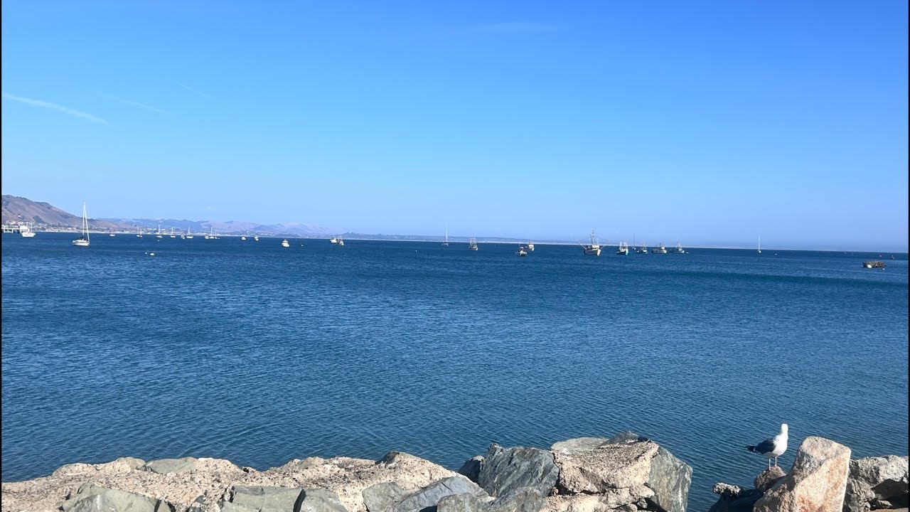 Fishing off the Pier 🎣 🐠 - YouTube