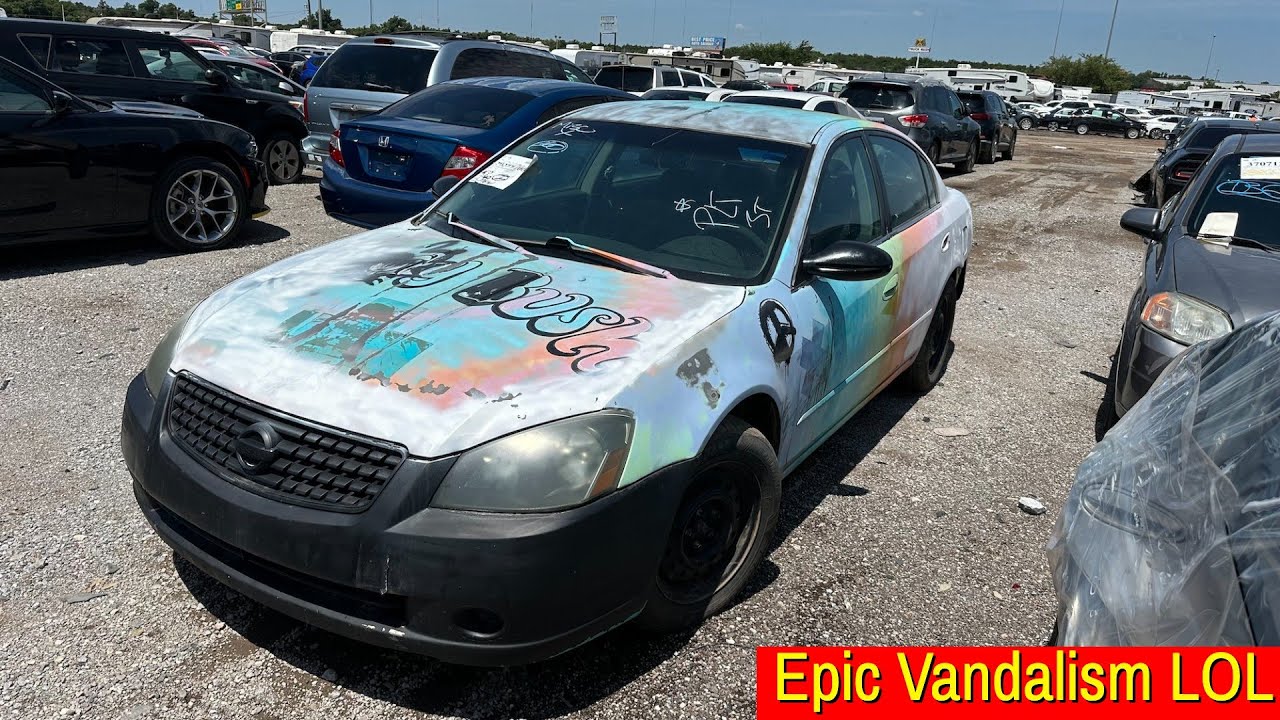 I Found this Vandalized Nissan Altima at IAA! Furry Bush? - YouTube