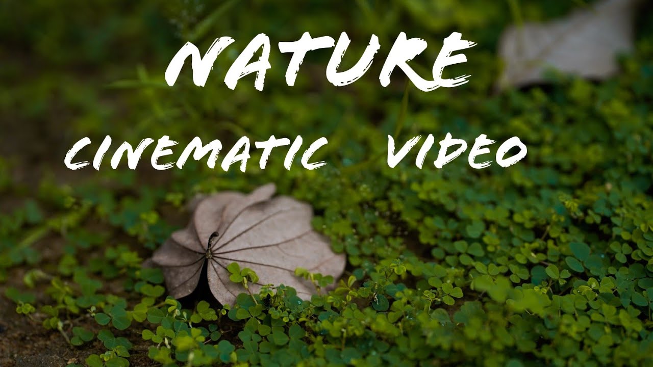 The Nature || Cinematic Nature Video | Sony A7 iii With 85mm Lens - YouTube