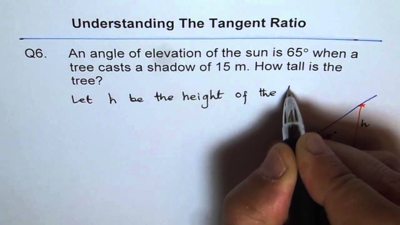 Tree Height from Tangent Ratio Q6 | Trigonometry Application - YouTube
