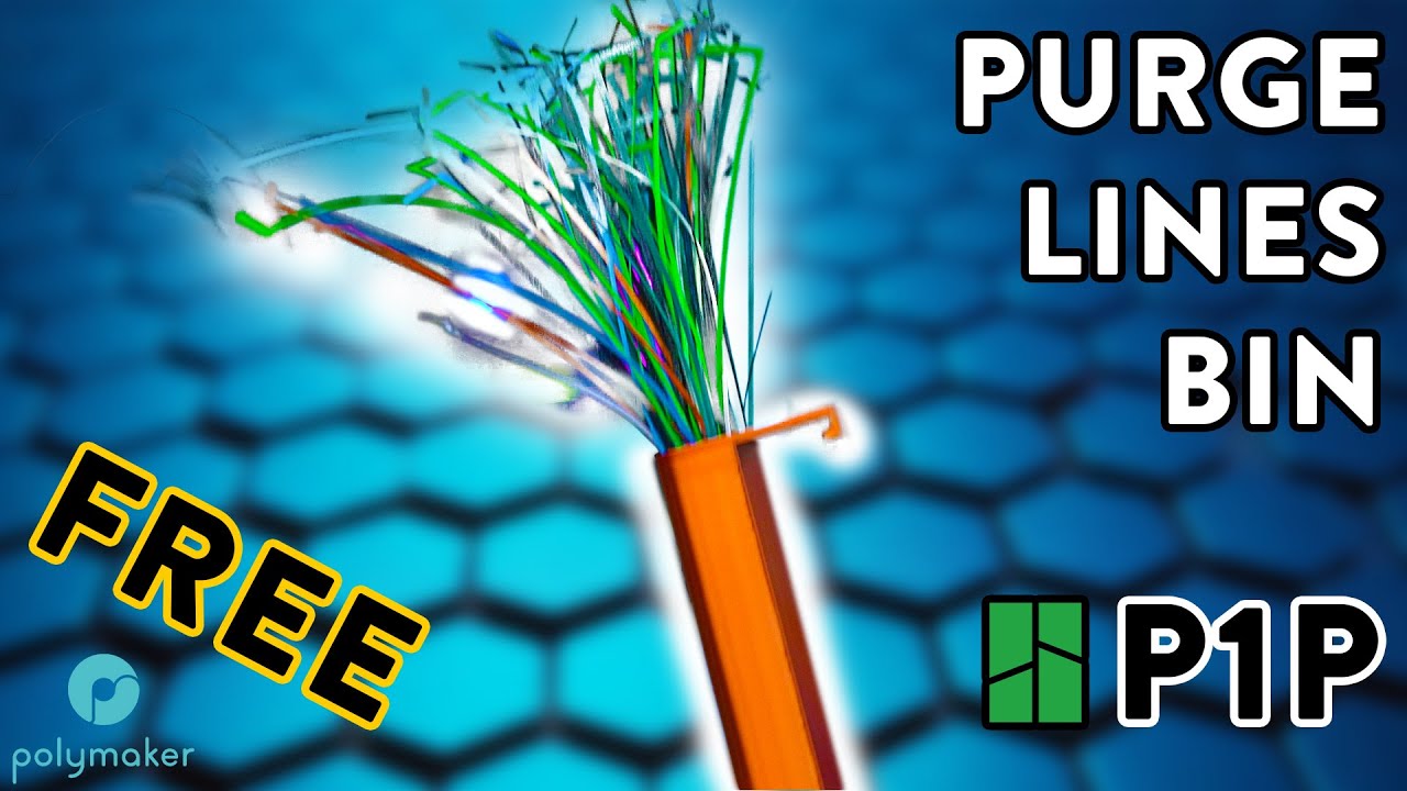 What to do with the Purge Lines ? | Bambu Lab P1P Project - YouTube