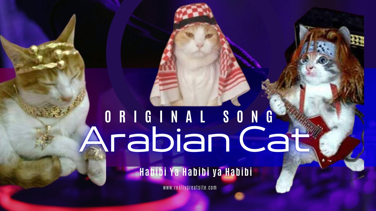 Arabian cat -( Orginal Music video ) - Arab Habibi Cat Song ||part 2 👯💃 ...