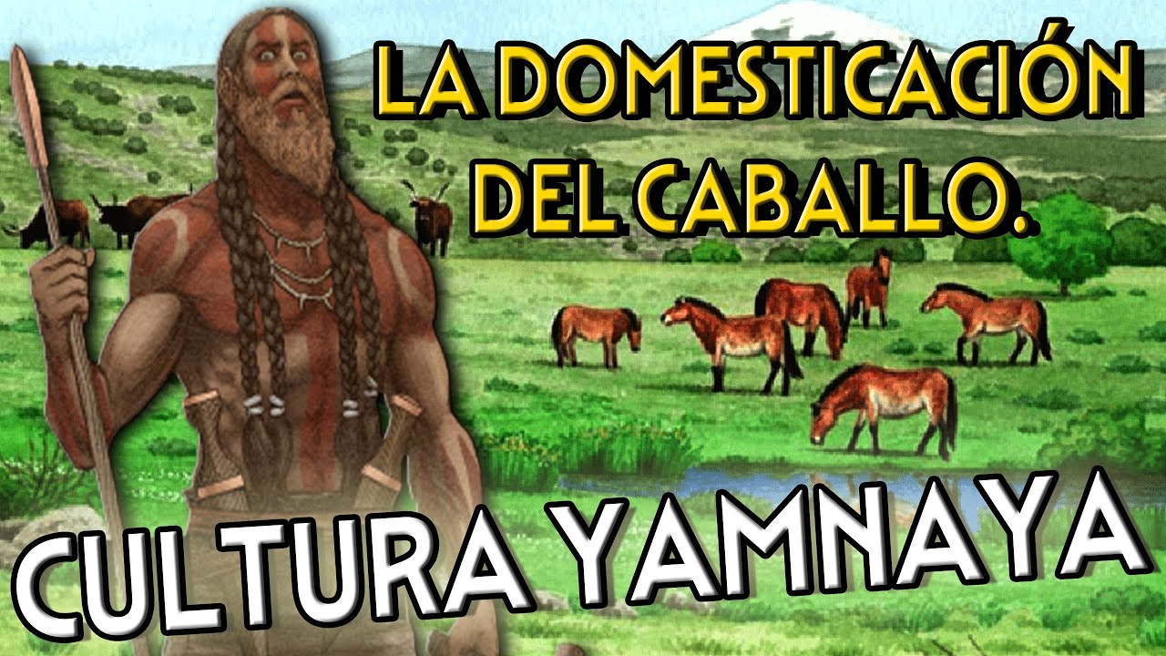 ¿Cuando se domestico el caballo? 🐎 CULTURA YAMNAYA 🔵 HISTORICO - YouTube