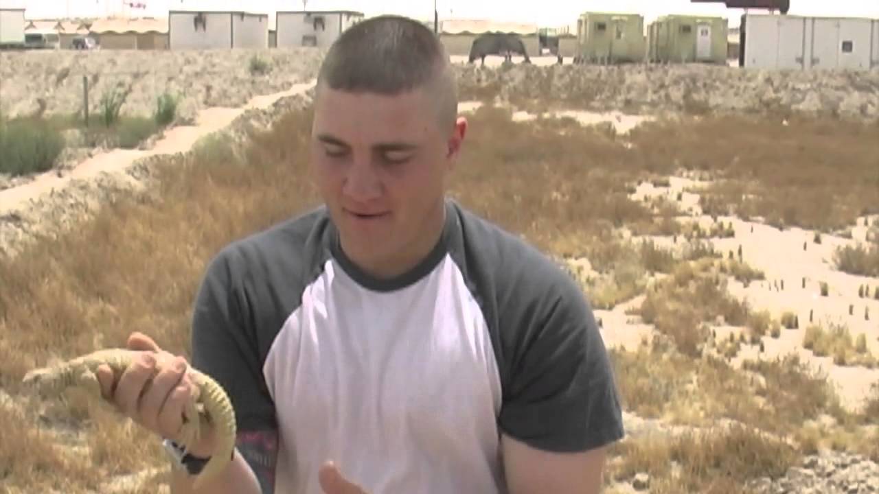 Adventure Archive -- Kuwaiti Uromastyx Lizard - YouTube