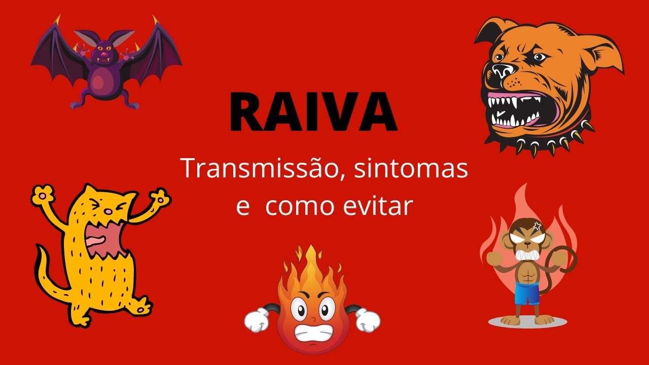 RAIVA: transmissão, sintomas e como evitar - YouTube
