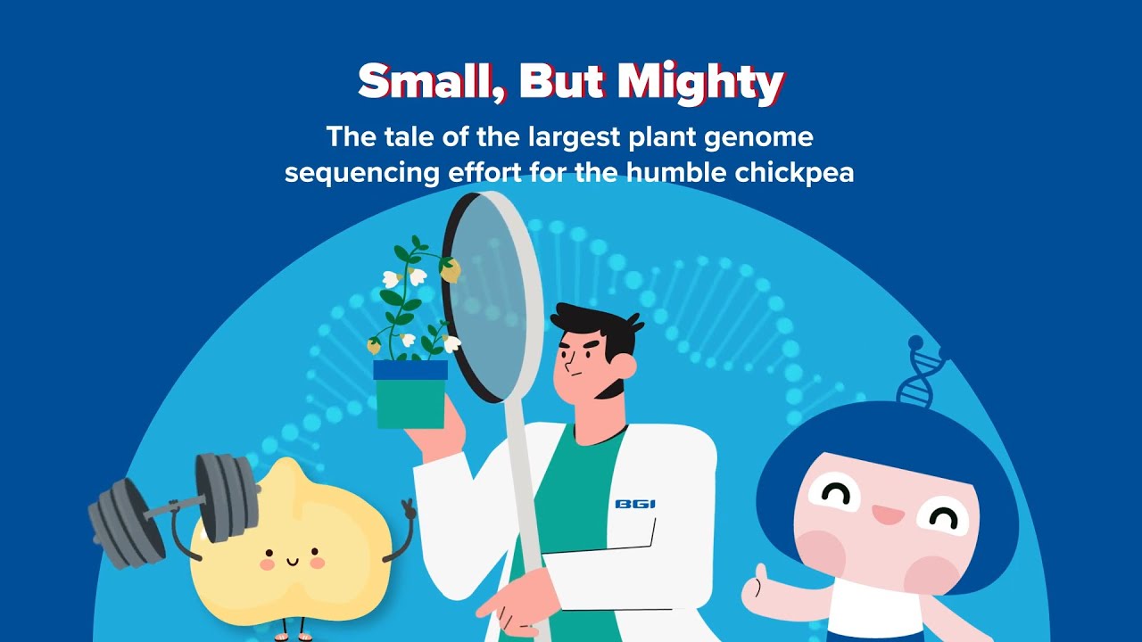 BGI Draws up a Complete Picture of Genetic Variation within Chickpeas ...