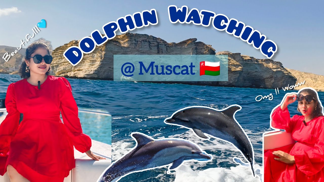 Dolphin Watching🐬🩵@Muscat || ಭಯಾನಕ Ride 😰 - YouTube