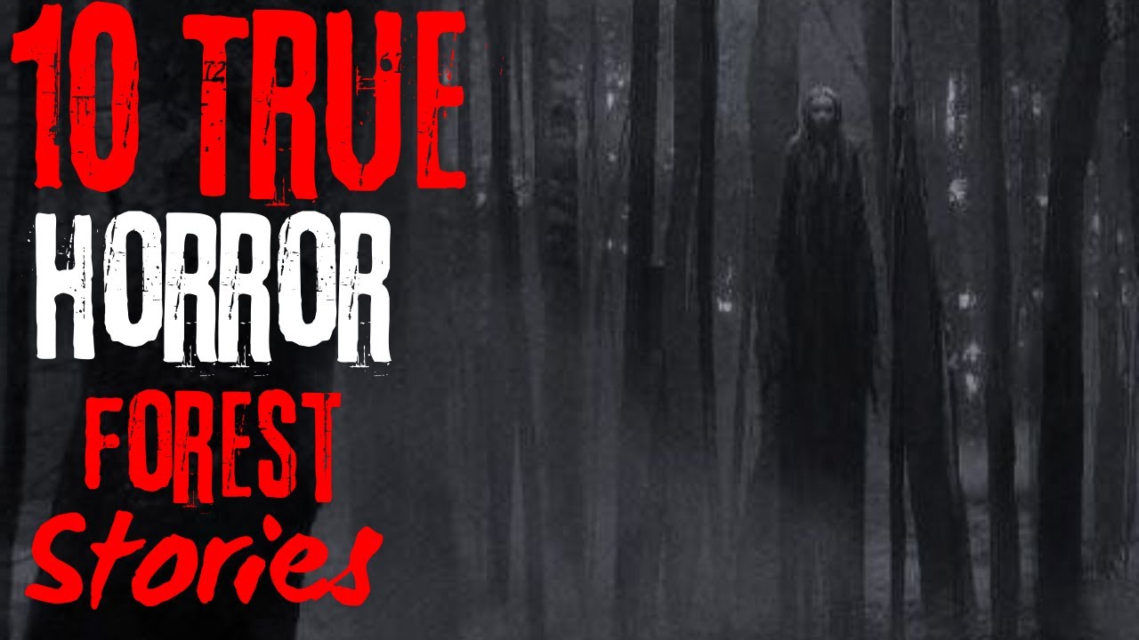 10 Terrifying Forest Horror Stories That Will Haunt You Forever - YouTube