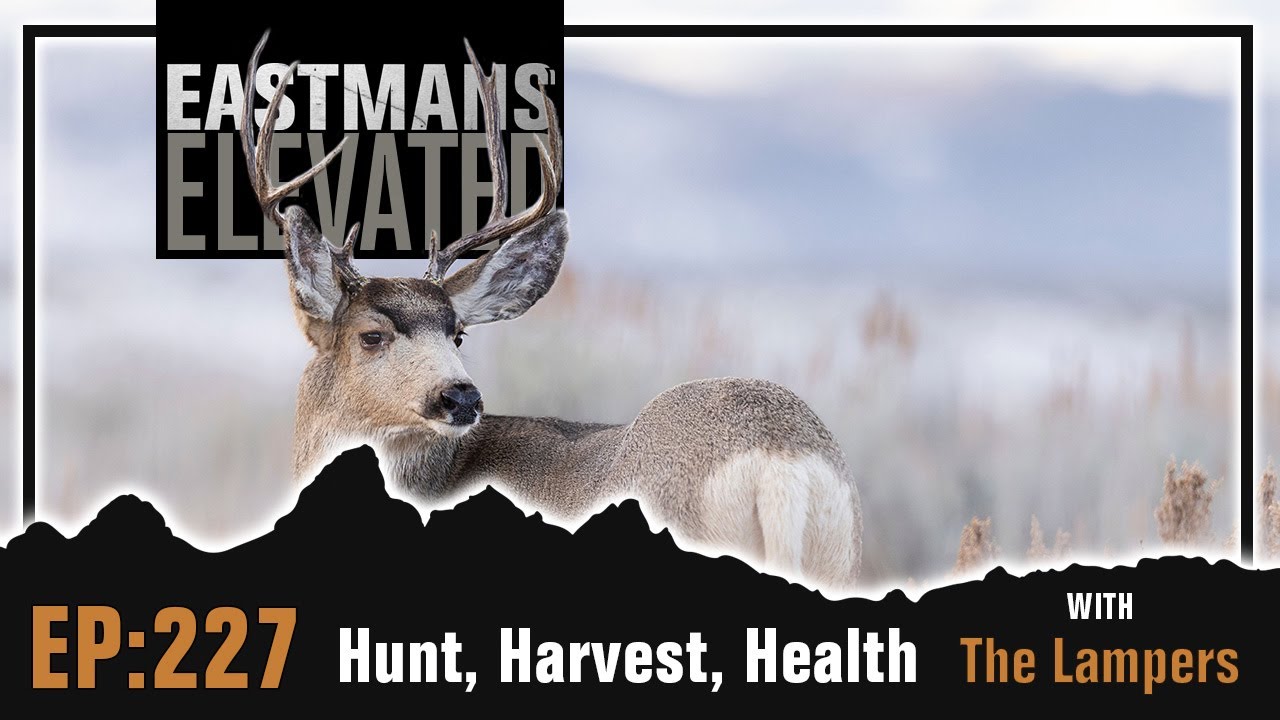Hunt, Harvest, Health with The Lampers | Eastmans' Elevated Podcast EP ...