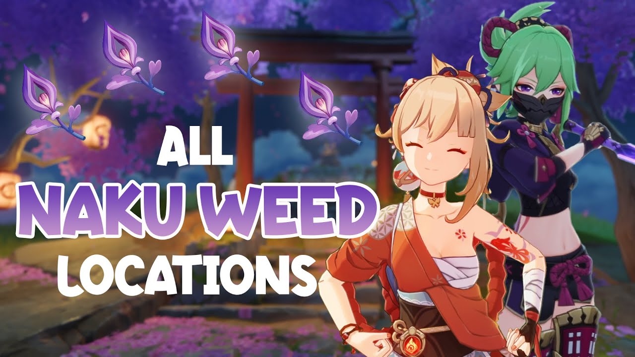 All 140 Naku Weed Locations | Yoimiya/Kuki Shinobu Ascension Materials ...