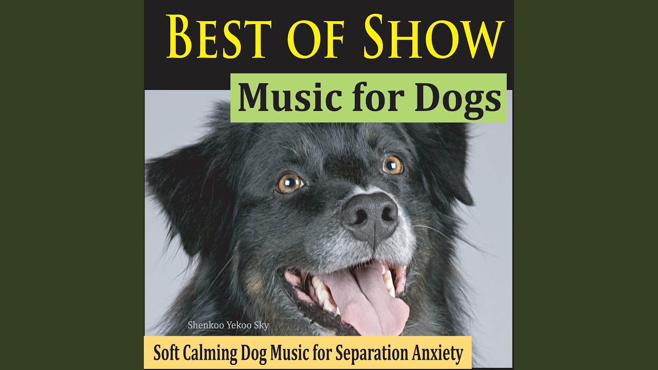 I'm Bullish for Bulldogs (Music for Dogs) - YouTube