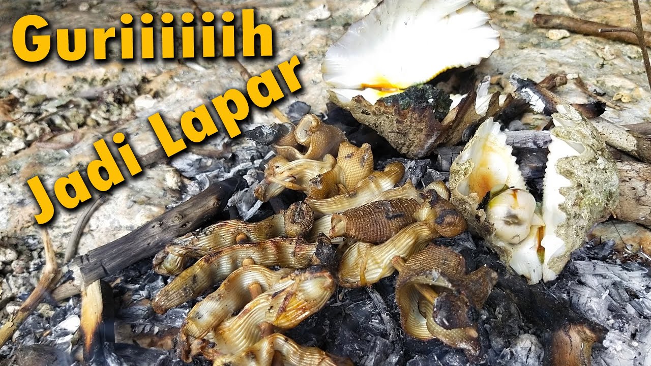Bakar Cacing Laut di Pinggir Pantai dan pertama kali mencoba seperti ...
