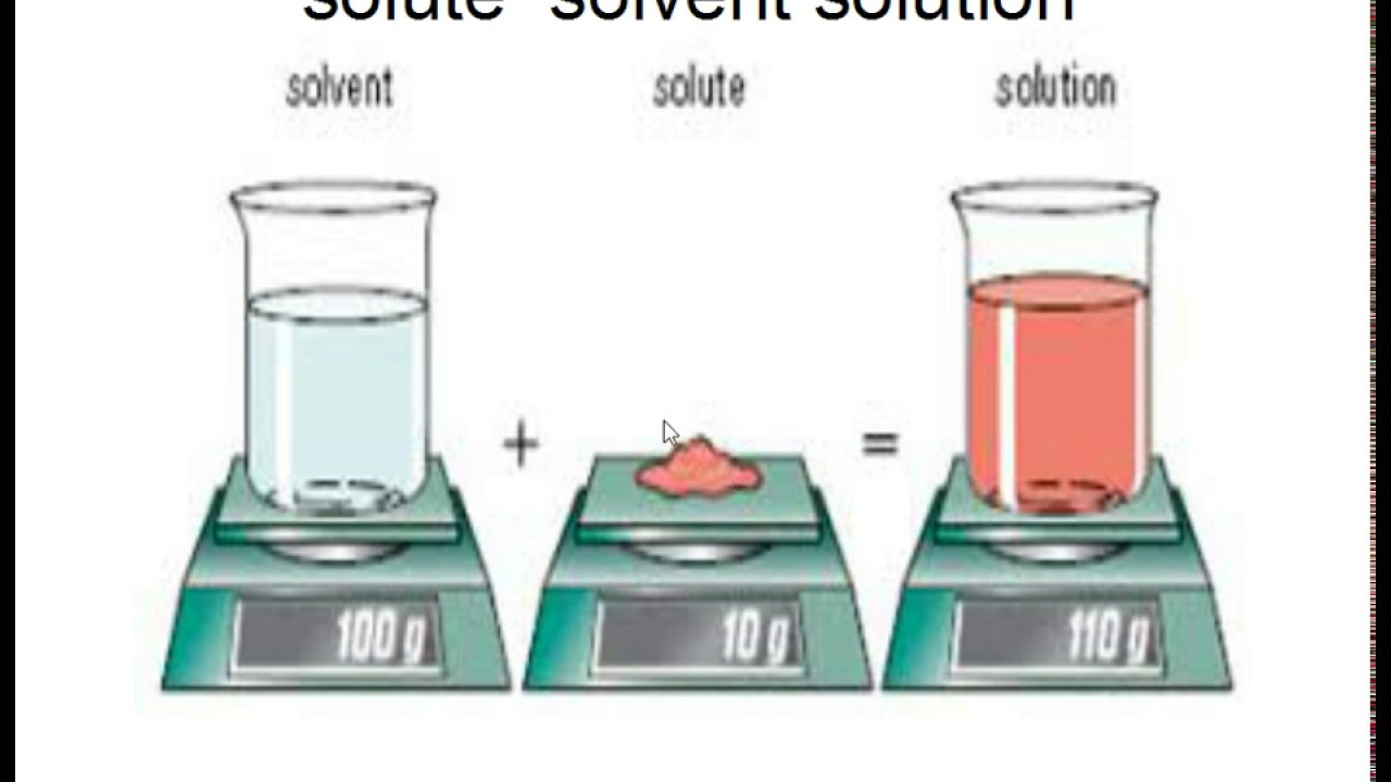 solute solvent solution states of matter science cbse class 4 - YouTube