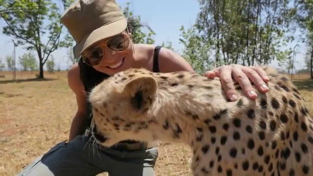 Save The Cheetah - Julia Wheeler Photography - YouTube