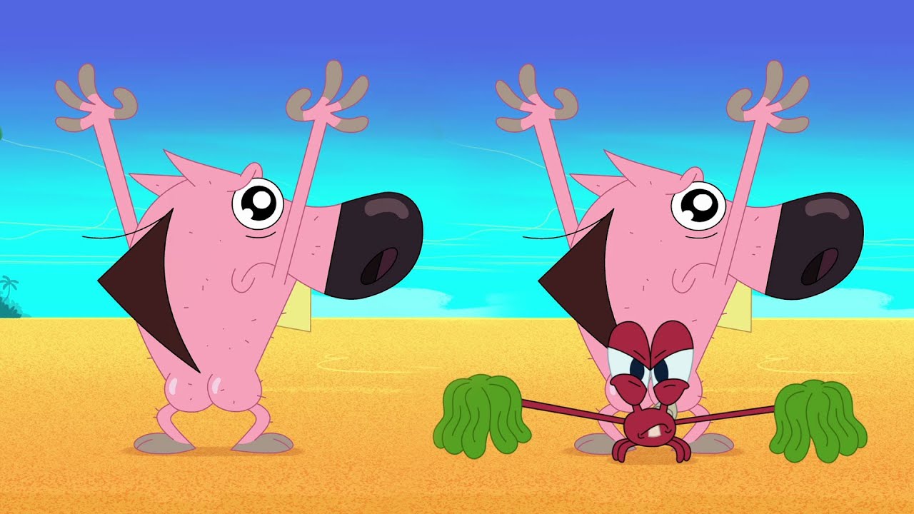 Zig & Sharko 😭 BABY SHAME - Compilation in HD - YouTube