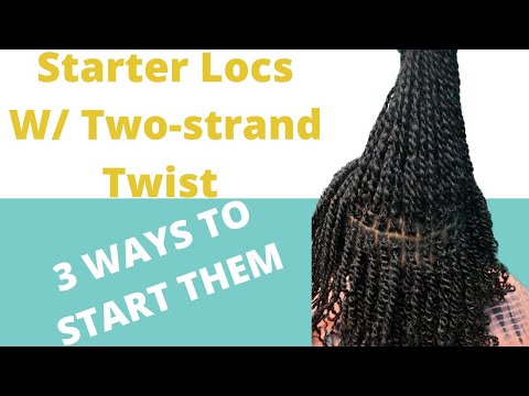 How To Two-Strand Twist Locs Using 3 Different Methods (Step by Step ...