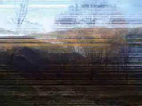 Gedebey Nerman Kend+ Elnur Elekberov