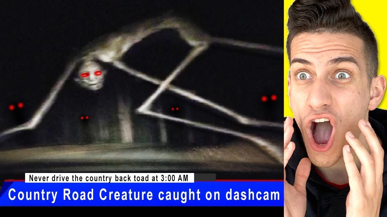 SCARIEST COUNTRY ROAD CREATURE SIGHTINGS in REAL LIFE! - YouTube