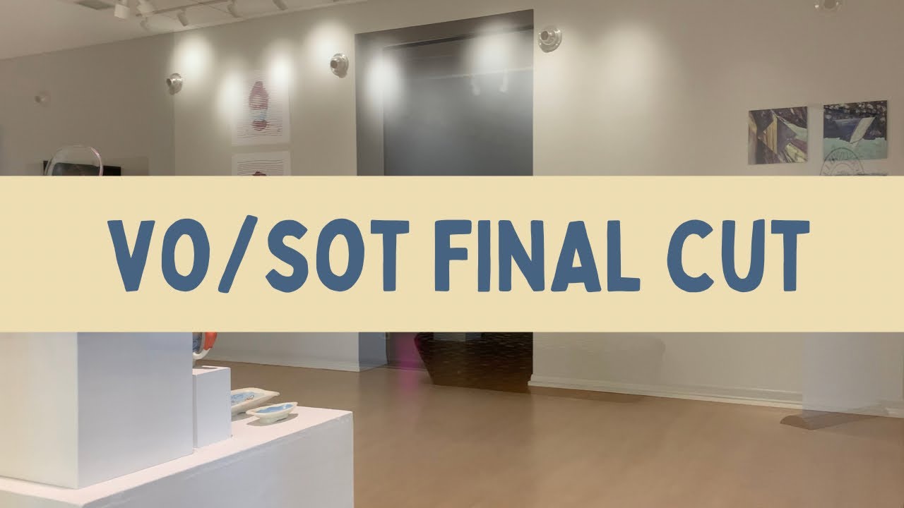 VO/SOT Final Cut - YouTube