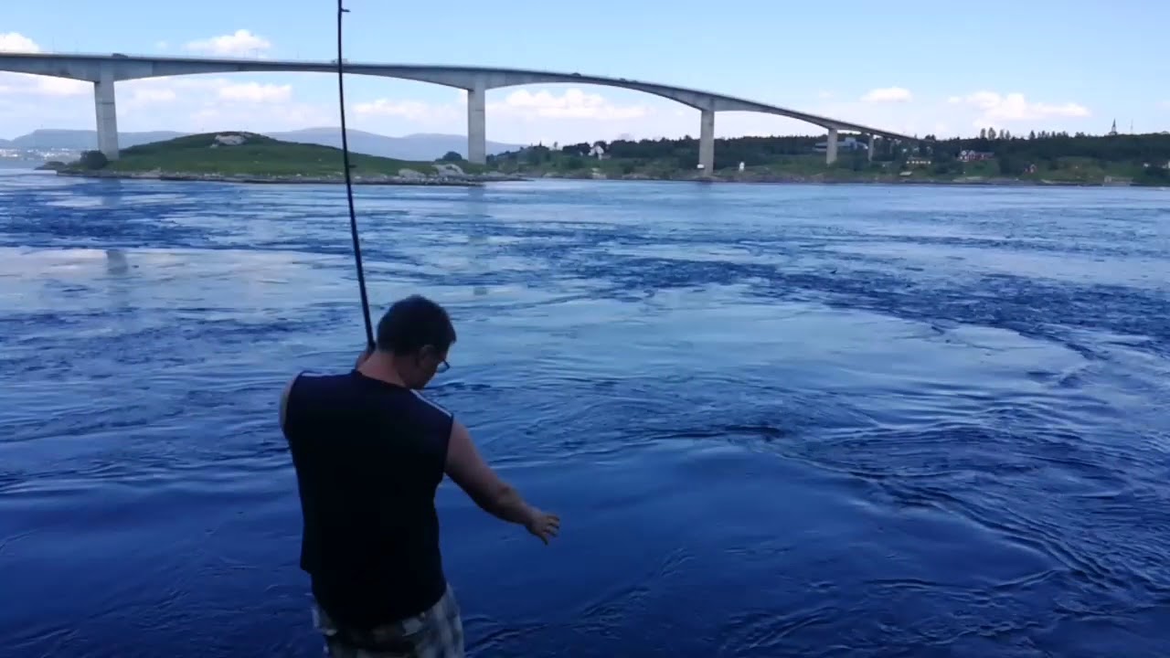 Fishing saltstraumen dream place 2 - YouTube