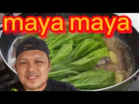 MAYA MAYA/SNAPPER/RECIPE/ISA SA PINAKA MASARAP NA LUTO DITO TARAAA ...
