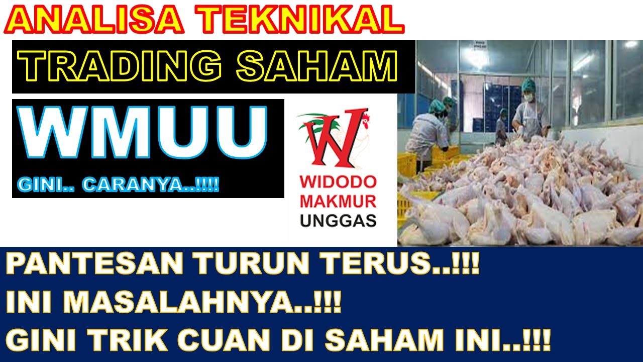 HARGA SAHAM SEKTOR POULTRY (WMUU) TURUN TERUS, ADA APA?? | saham wmuu ...