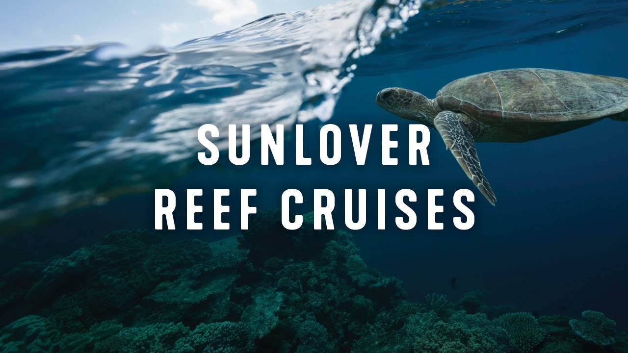 Experience the Great Barrier Reef from Cairns with Sunlover Reef ...