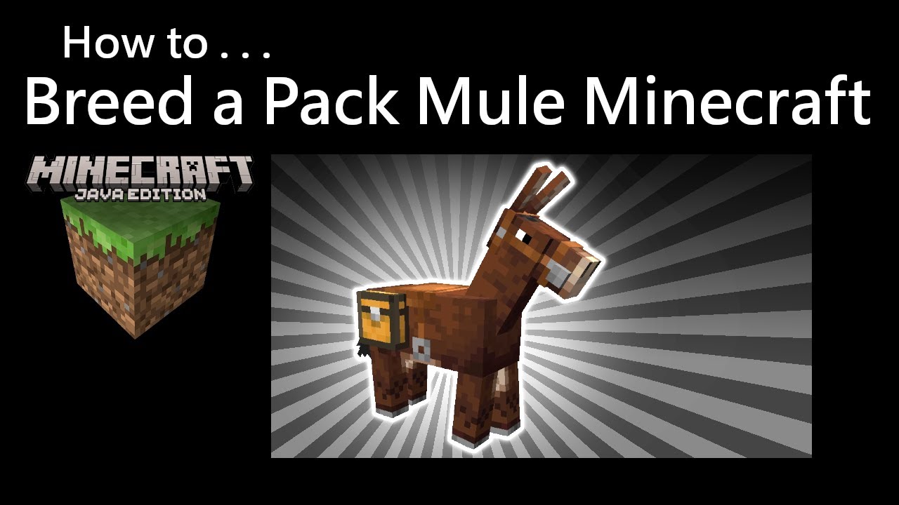 How To Breed a Pack Mule Minecraft Java - YouTube