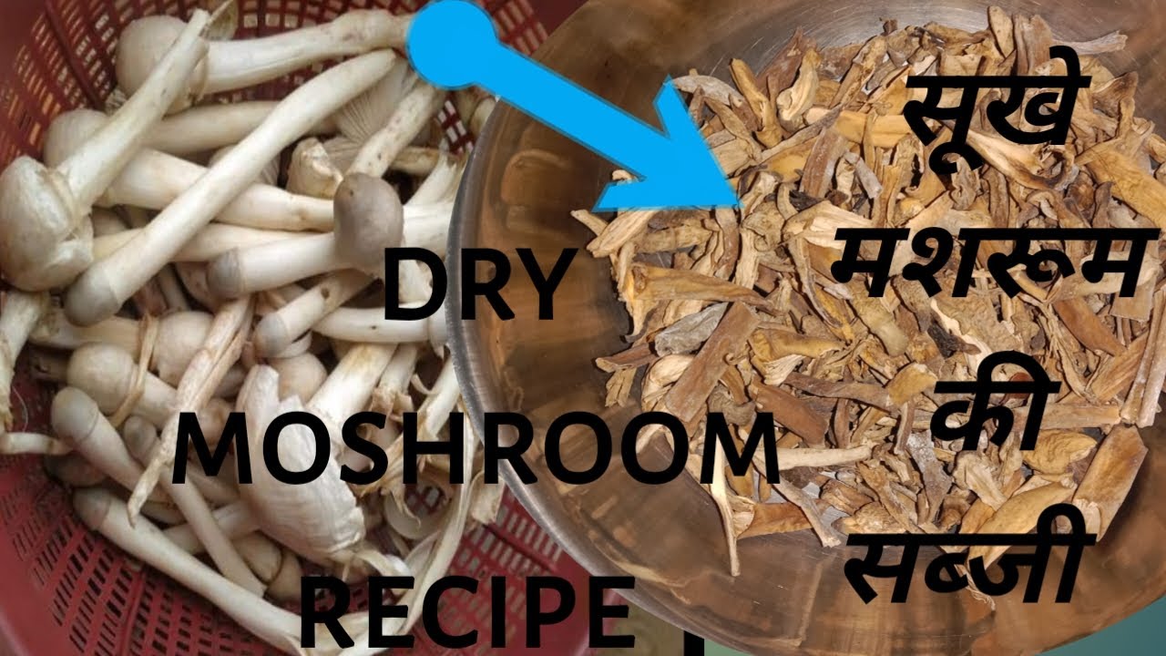 # सूखे मशरूम की सब्जी # dry moshroom recipe # - YouTube